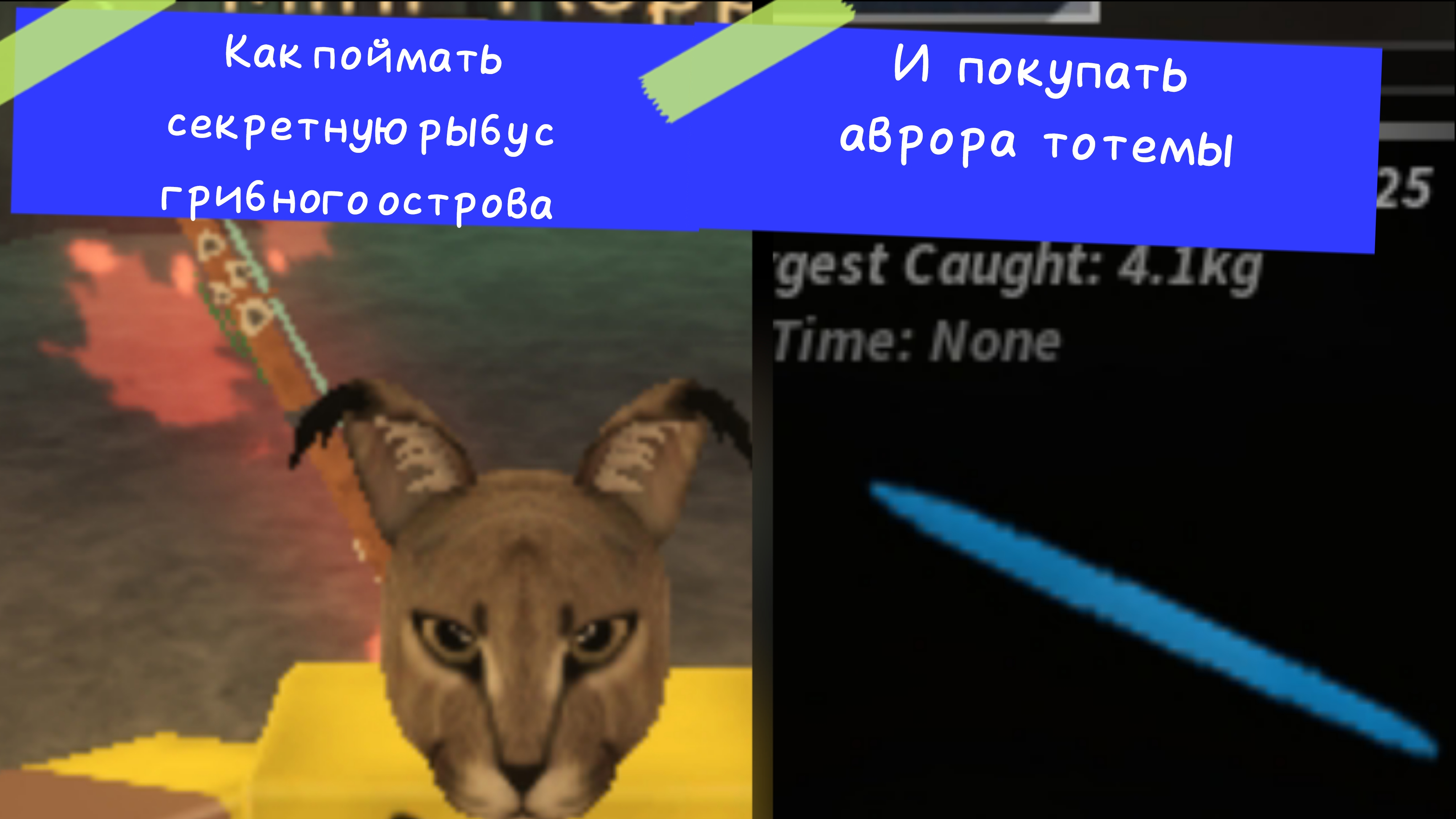 как поймать секретную рыбу с грибного острова и покупать тотемы авроры