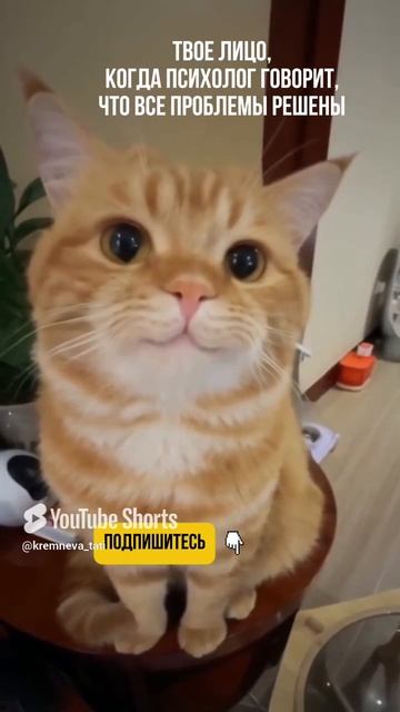 Узнали себя_ Подписывайтесь🌸 #психология #уверенностьвсебе #саморазвитие #самооценка #терапия