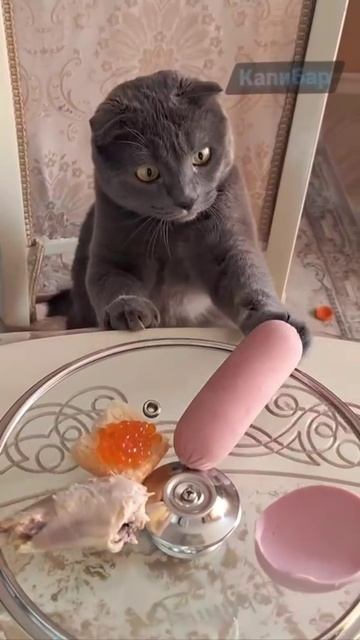 Вращайте барабан! 😅😂