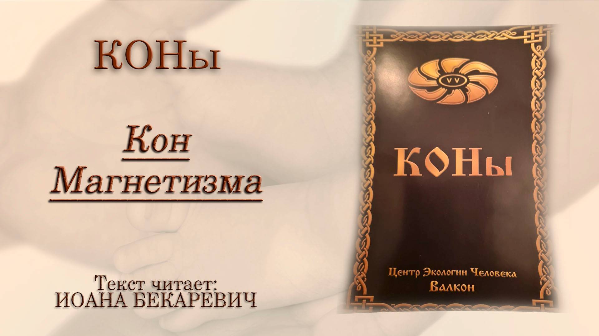 Кон Магнетизма | КОНы | Центр Экологии Человека Валкон | Татьяна Бекаревич