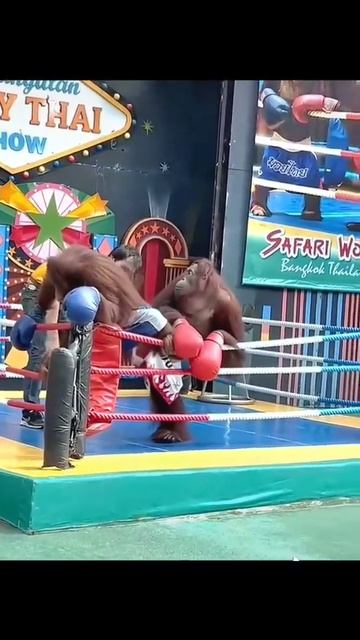 Сурьёзное у них мероприятие 😉😁😁