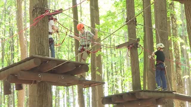 Выпускной 4А класс Прогимназия 1531 HD 261052143ФВ