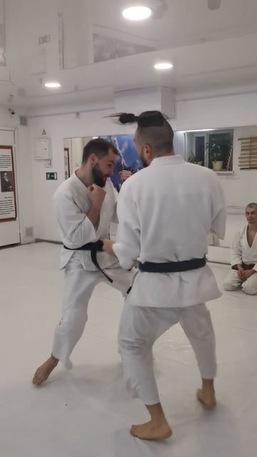 Школа боевых искусств Сейфукан Додзё г Сургут. Январь 2025. Отработка ударов
