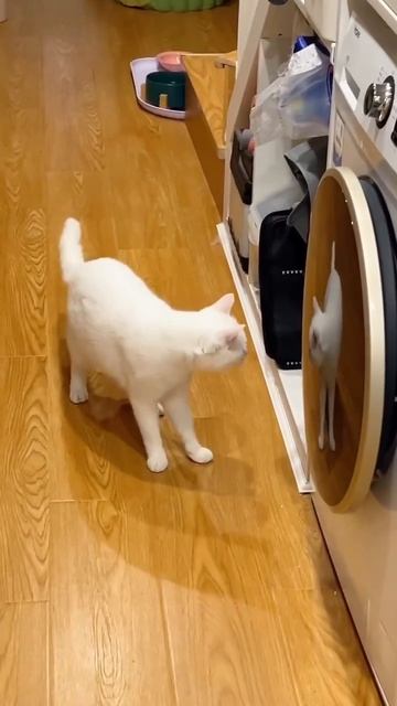 Мои нервы после рабочего дня 😂😹