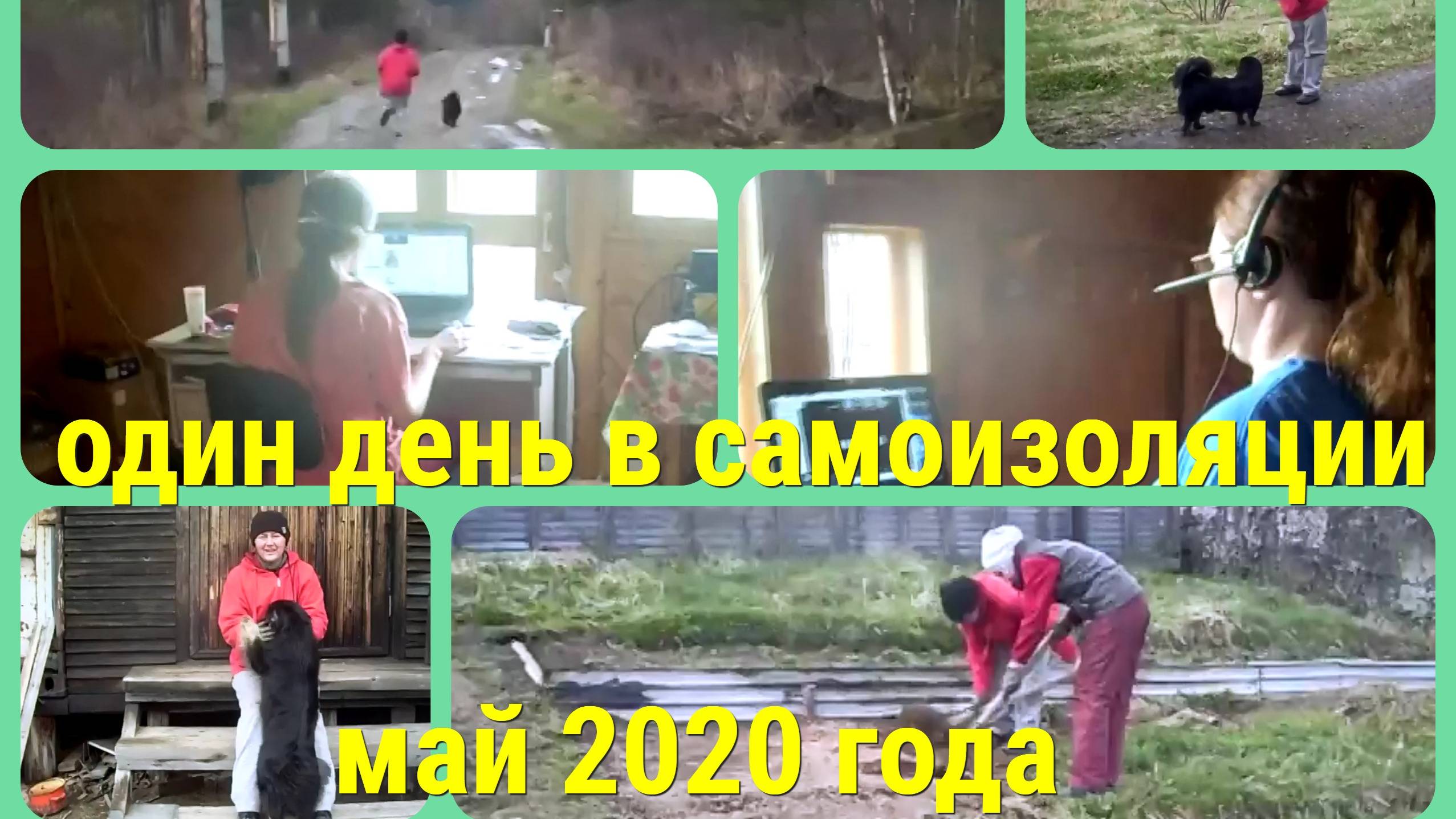 один день в самоизоляции май 2020