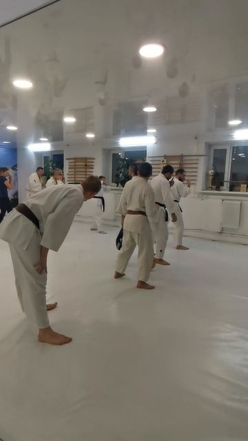 Школа боевых искусств Сейфукан Додзё г Сургут. Январь 2025. Группое занятие 2