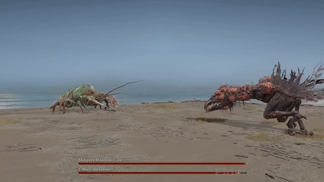 Турнир животных в Элден Ринг - Elden Ring