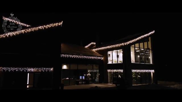 Новогоднее украшение домов! Украшение гирляндами от Кристмас-СПБ