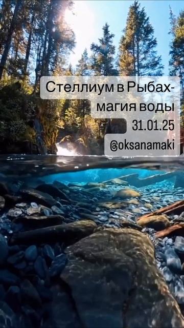 Сегодня 31.01.25г. Луна вошла в знак Рыбы.