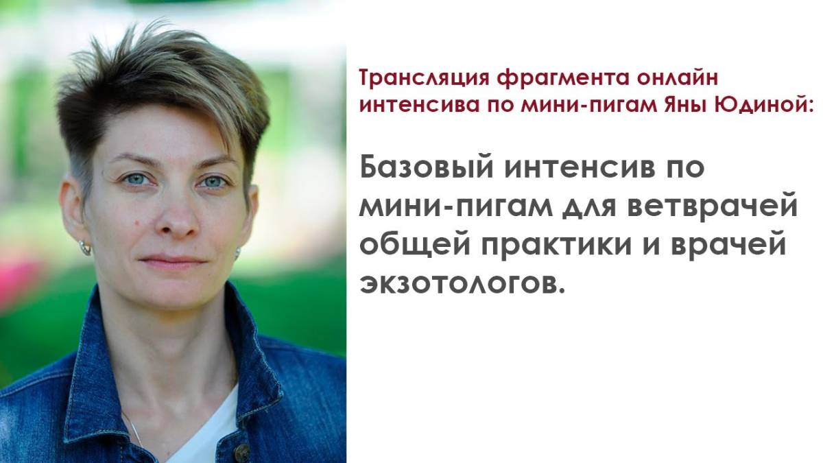 Трансляция фрагмента онлайн интенсива Яны Юдиной  по мини-пигам