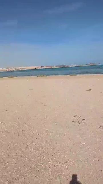 Египет , Шарм-эль-шейх , дикий ,заброшенный пляж .