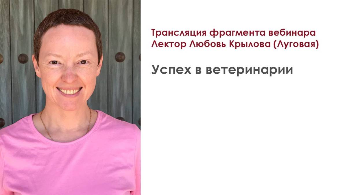 Трансляция фрагмента вебинара Любови Крыловой (Луговой): "Успех в ветеринарии".
