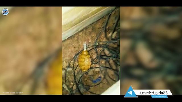 Проблема в поколении мальчиков мажоров