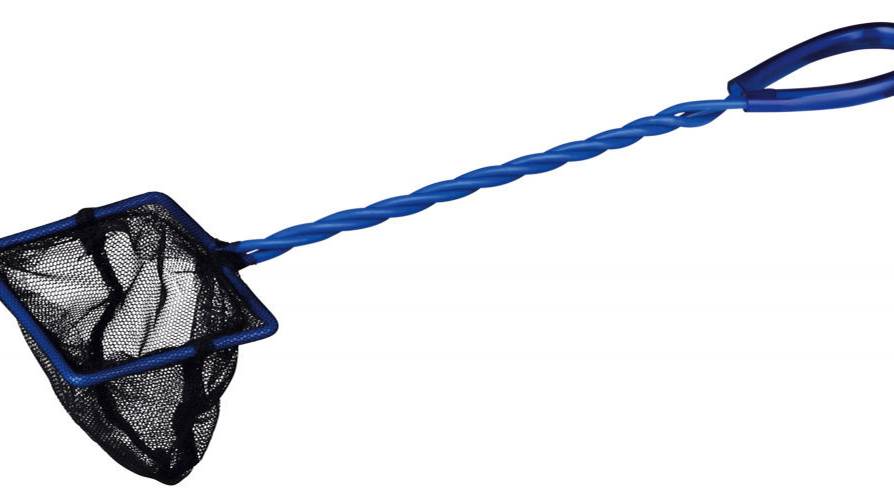 Аквариум для начинающих Сачок для аквариума Что выбирать и для чего Маленькие сачки