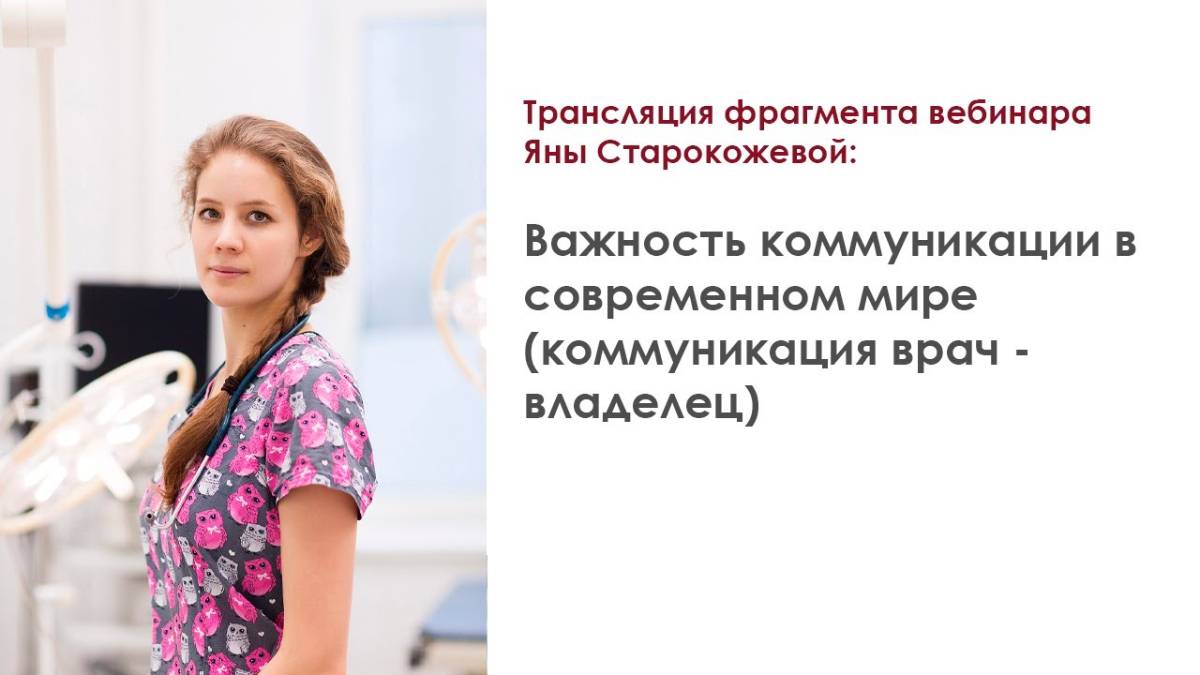 Трансляция фрагмента вебинара Яны Старокожевой: Важность коммуникации в современном мире