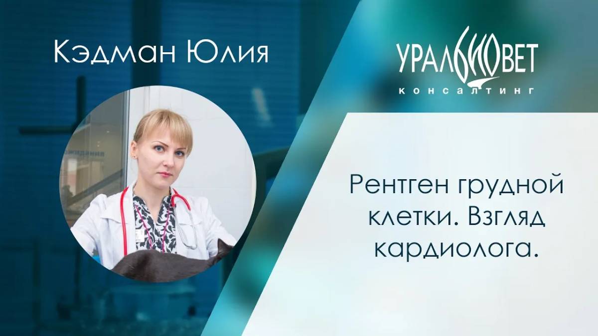 Рентген грудной клетки. Взгляд кардиолога, часть 1. Кэдман Юлия
