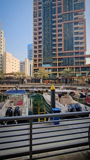 Дубай Марина, ОАЭ (январь 2025)