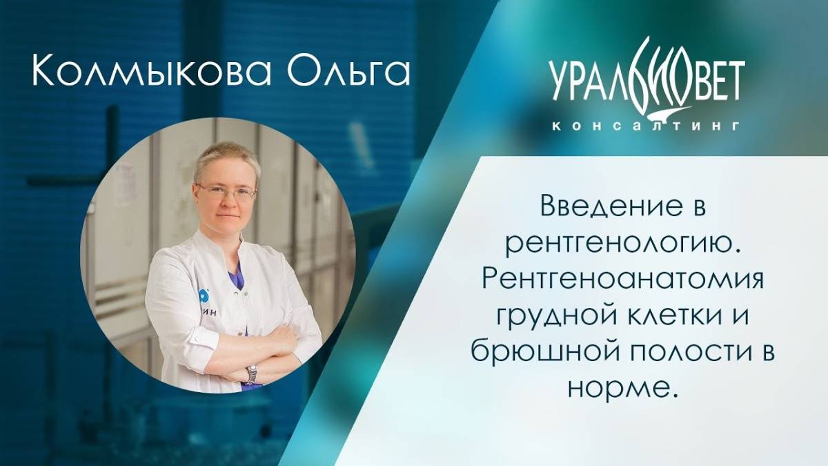 Введение в рентгенологию. Рентгеноанатомия грудной клетки и брюшной полости в норме. Ольга Колмыкова