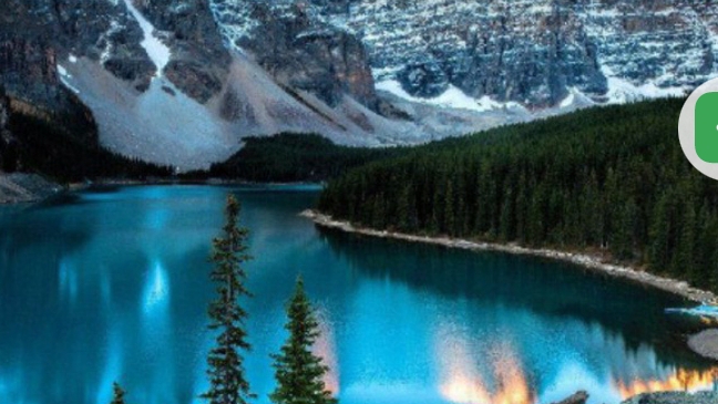 Посадка фиников