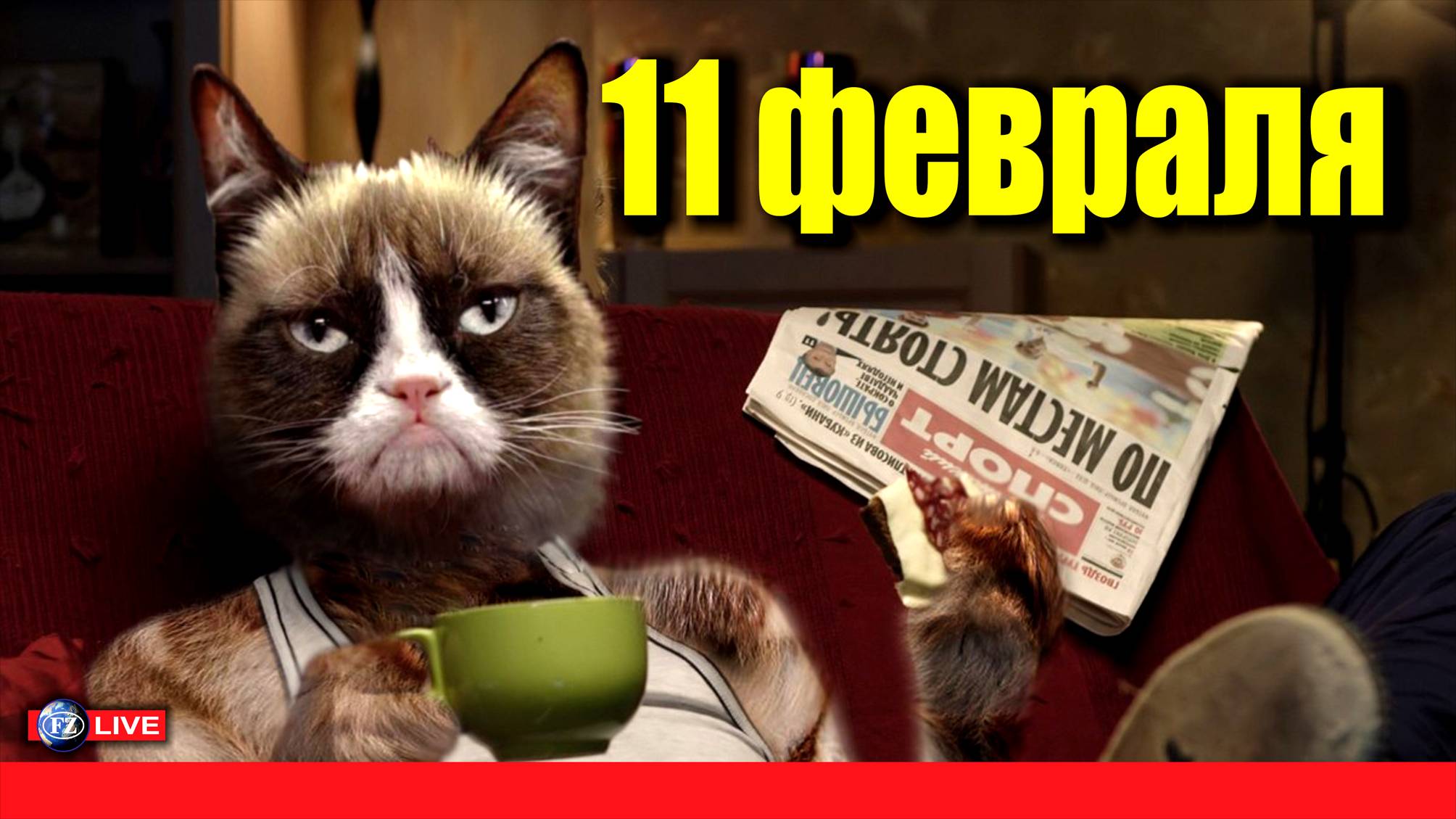 11 ФЕВРАЛЯ - ВОТ ТАКОЙ ДЕНЁК!