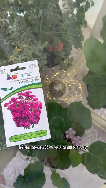 Ну что, погнали?! Рассказываю, что дальше сеять будем! Не пропустите!