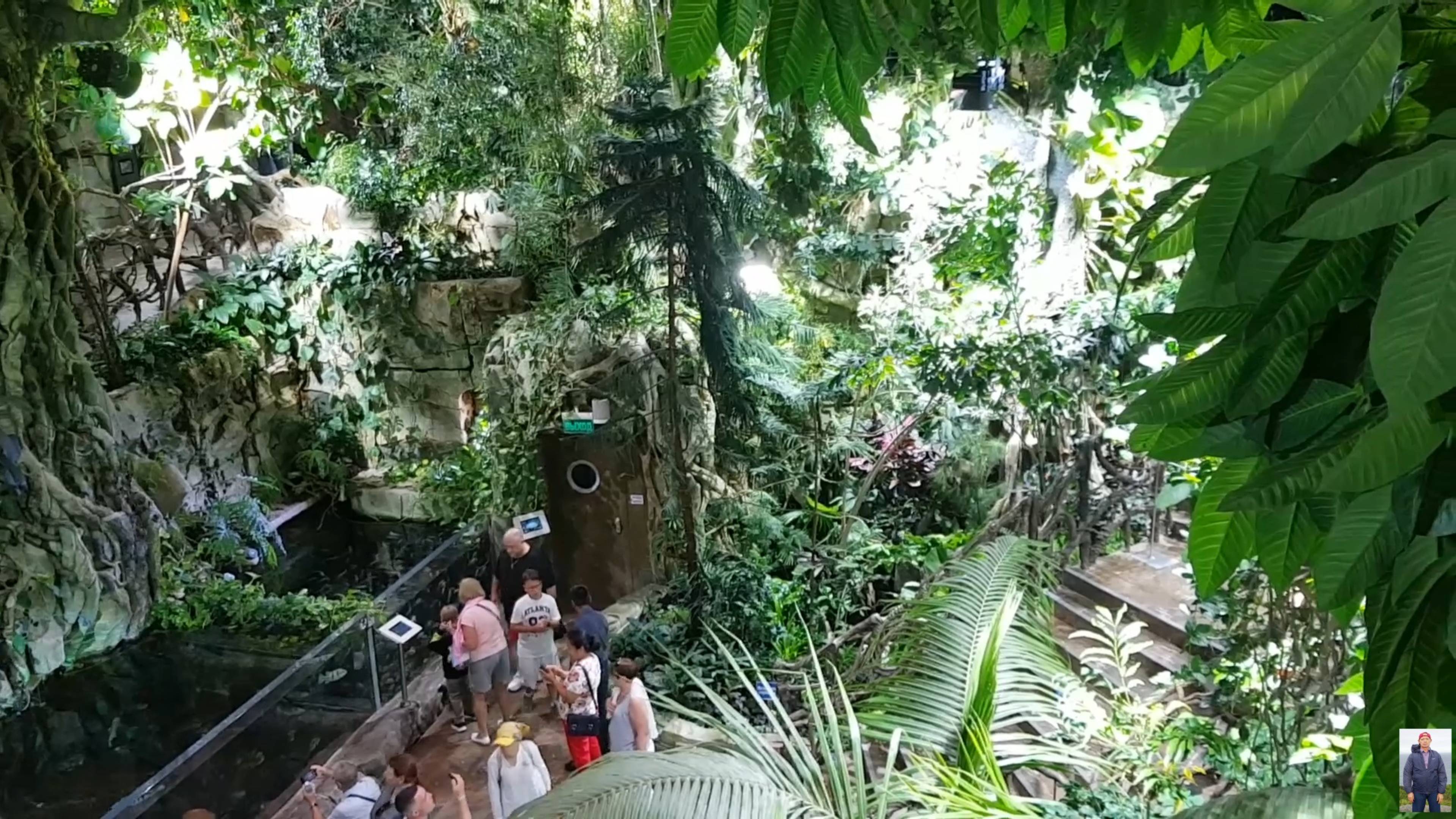 Владивосток Океанариум Посещение экспозиции "Тропический  дождевой лес"