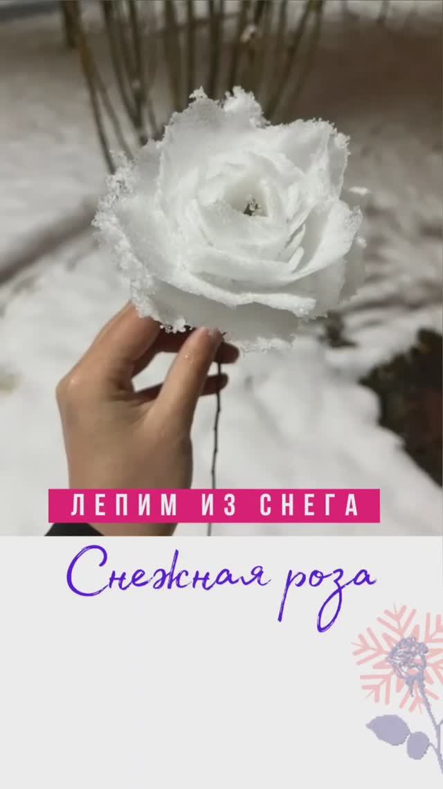 Снежная роза/ лепим из снега