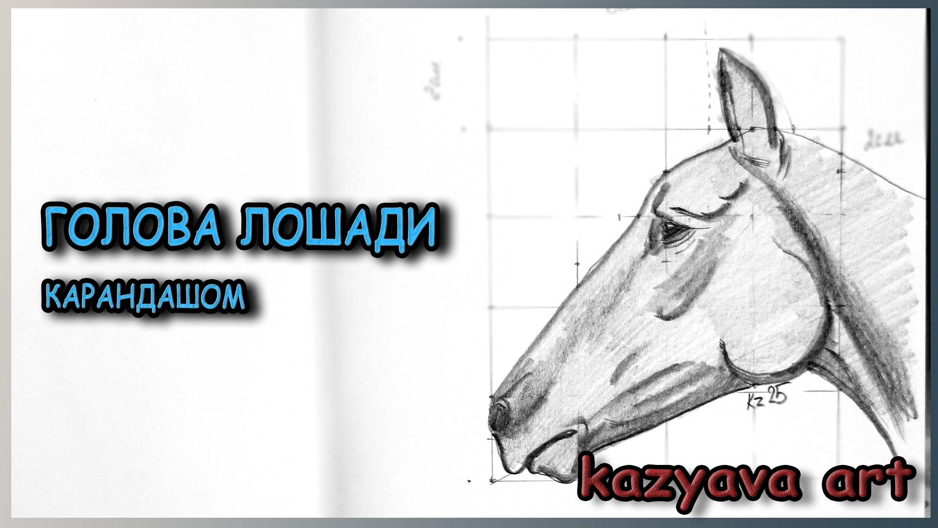 Как нарисовать голову ЛОШАДИ в профиль карандашом. Поэтапное рисование