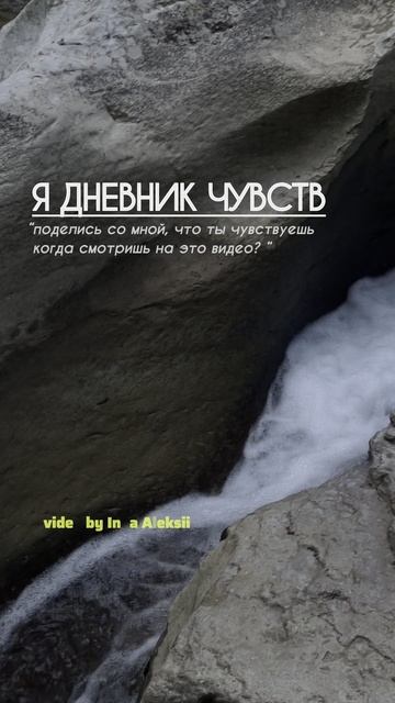 Дневник чувств ( diary of feelings )