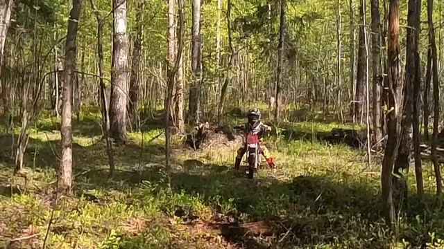 Лето 2024. Питбайк 50 кубов и GR2 - катаем с сыном. Упала новая камера Insta 360 x3