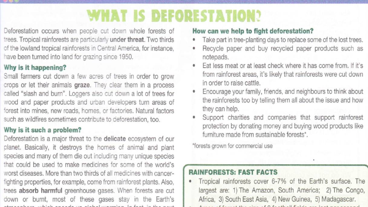 Starlight 8  3H 
 What is Deforestation? 
 Что такое вырубка лесов?