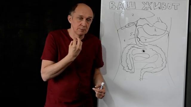 ВАШ ЖИВОТ. Истоки болезней(360P).mp4