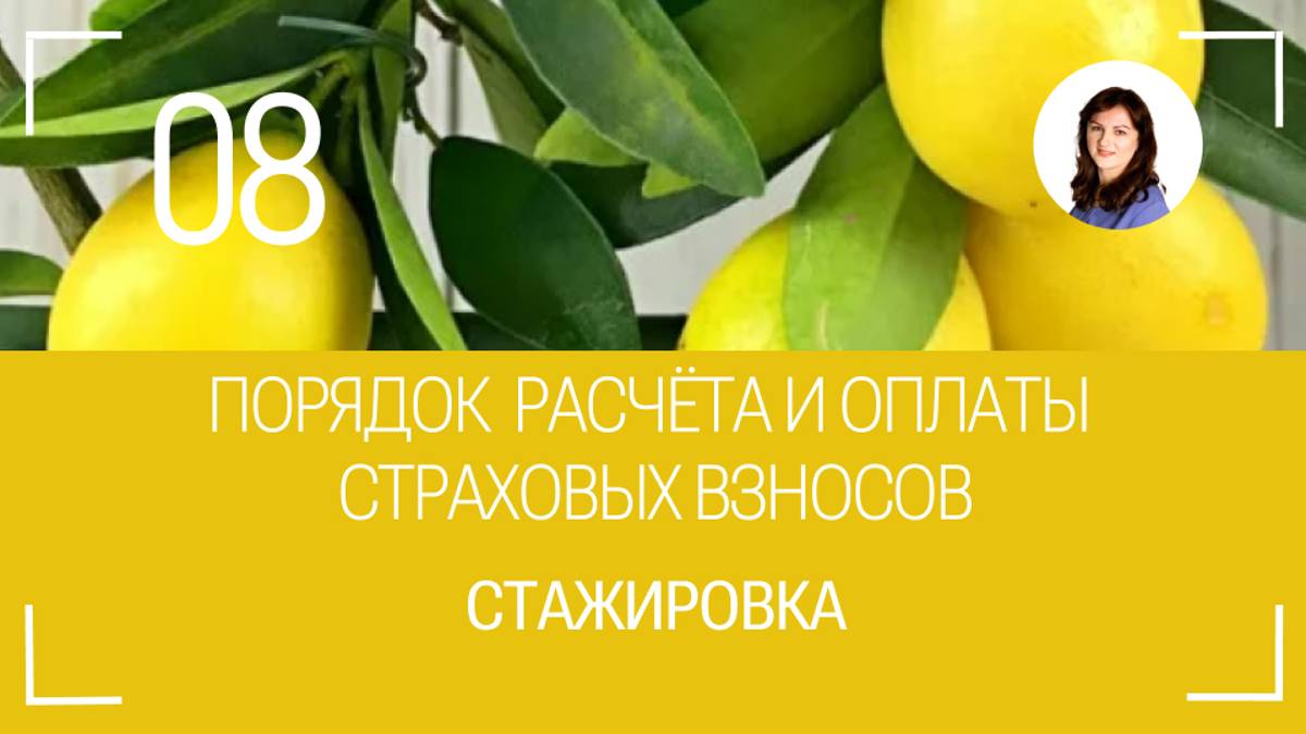 Порядок расчета и оплаты страховых взносов.