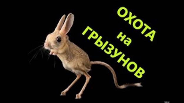 ОП 2.2 "Охота на грызунов" на Агропроме.  #оп21 #оп22 #сталкер