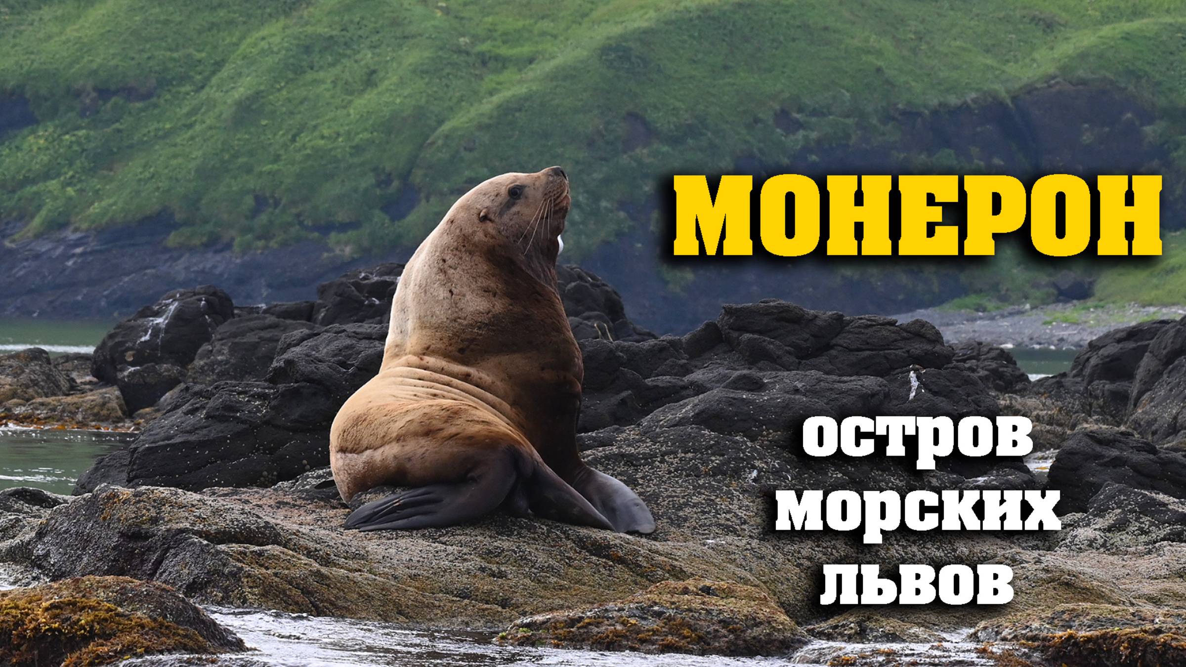 Монерон. Остров морских львов.