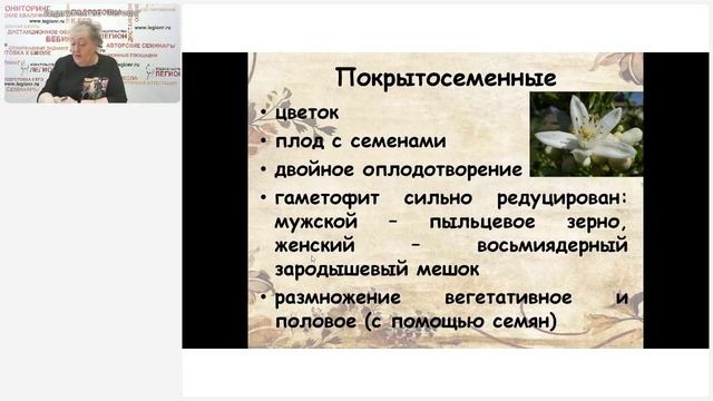 Подготовка к ЕГЭ по биологии в 2025 году. Циклы развития растений