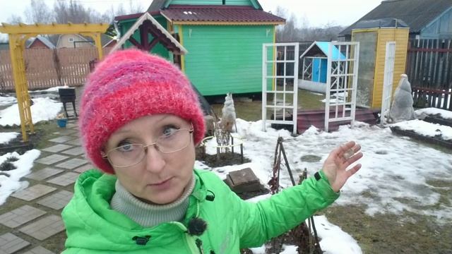 Видео привет с 6 соток 30 января 2025 года