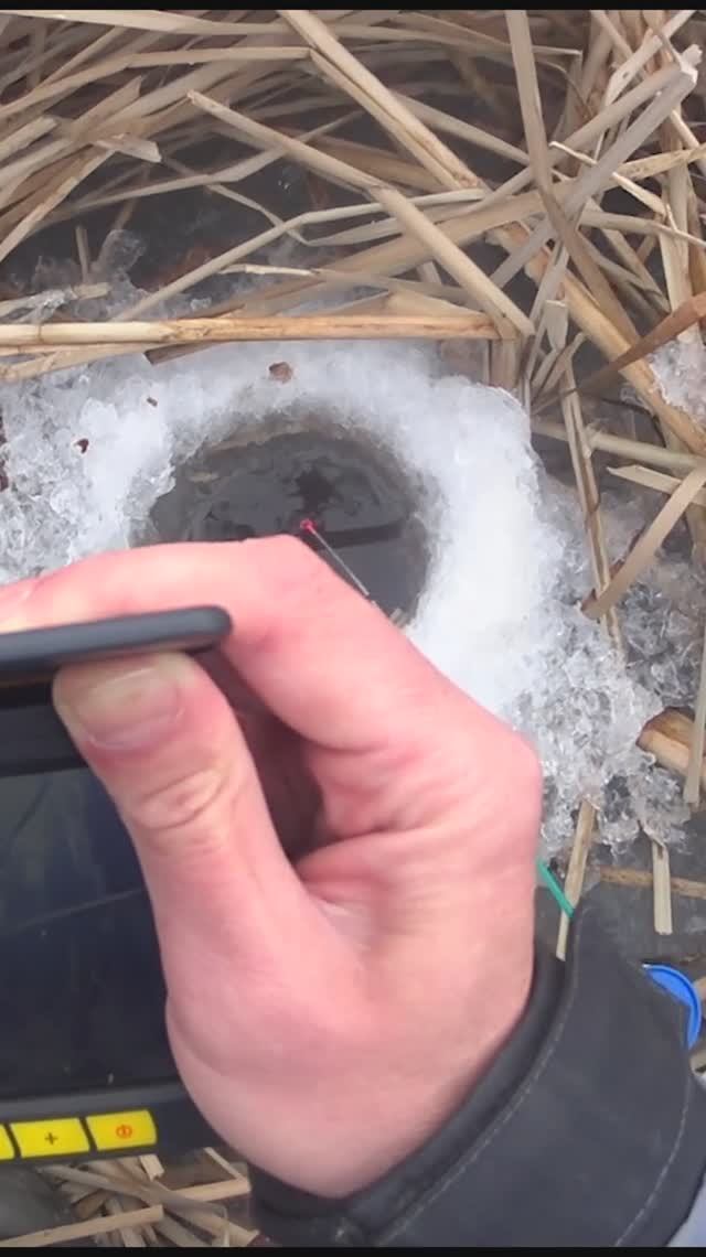 Ловля карася зимой вприглядку!) Подводная съёмка поклёвки, и поимка! #рыбалка #рек #топ #карась