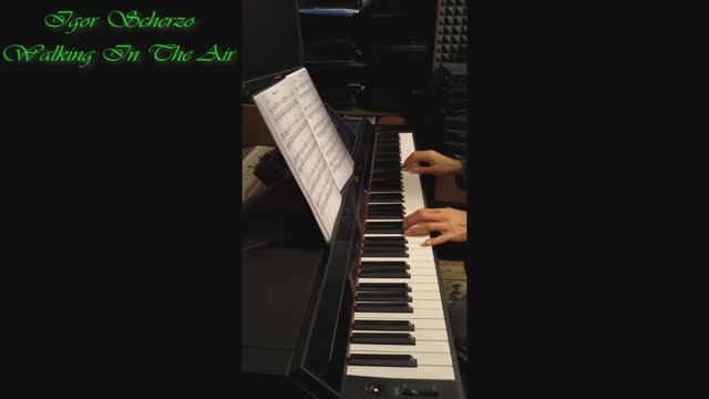 Igor Scherzo - Walking In The Air (Old Version)