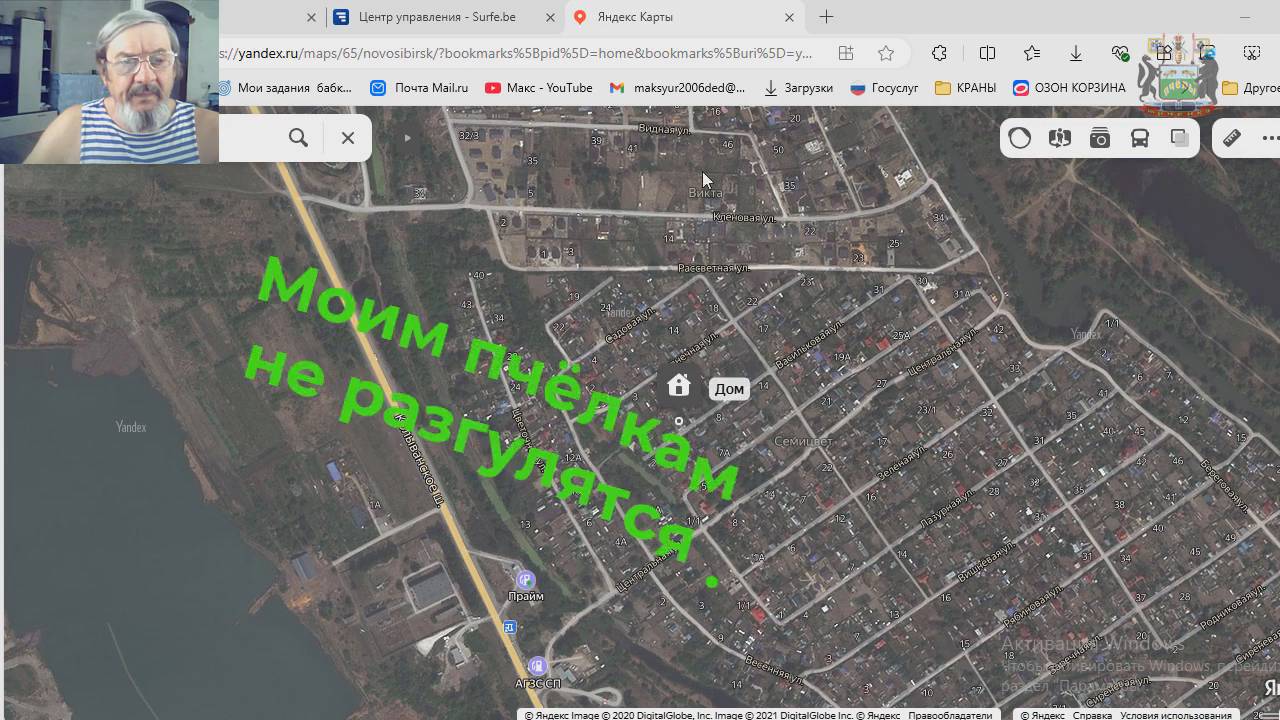 Моим пчёлкам не разгуляться