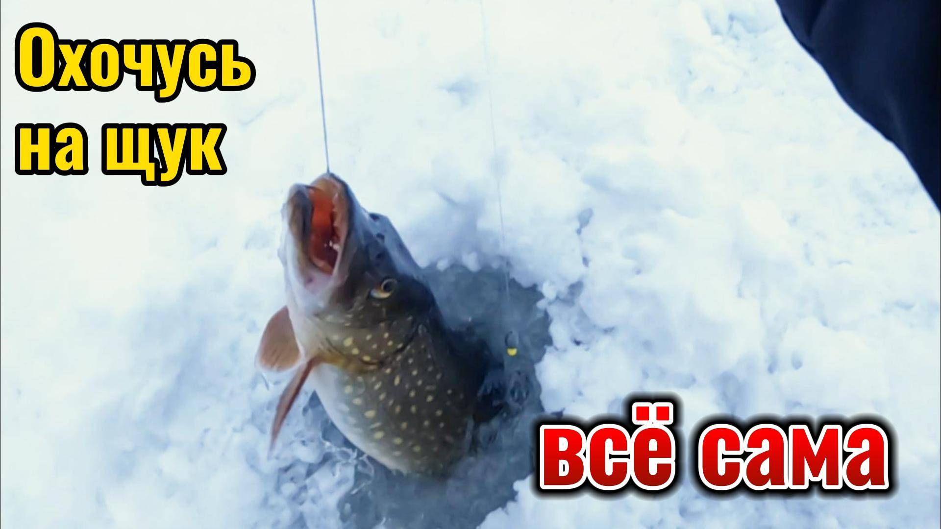 Сама ловлю щук, без помощников. И очень удачно.