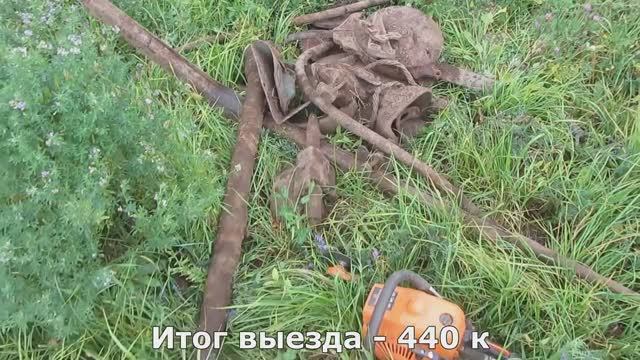 440 кг с чудесной поляны, день второй.