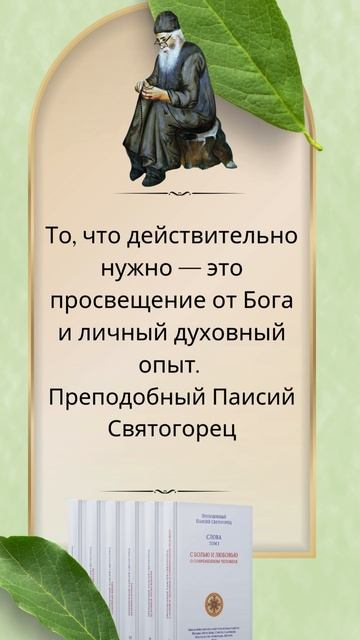 Что нам действительно нужно? Преподобный Паисий Святогорец  #паисийсвятогорец #саморазвитие #книги