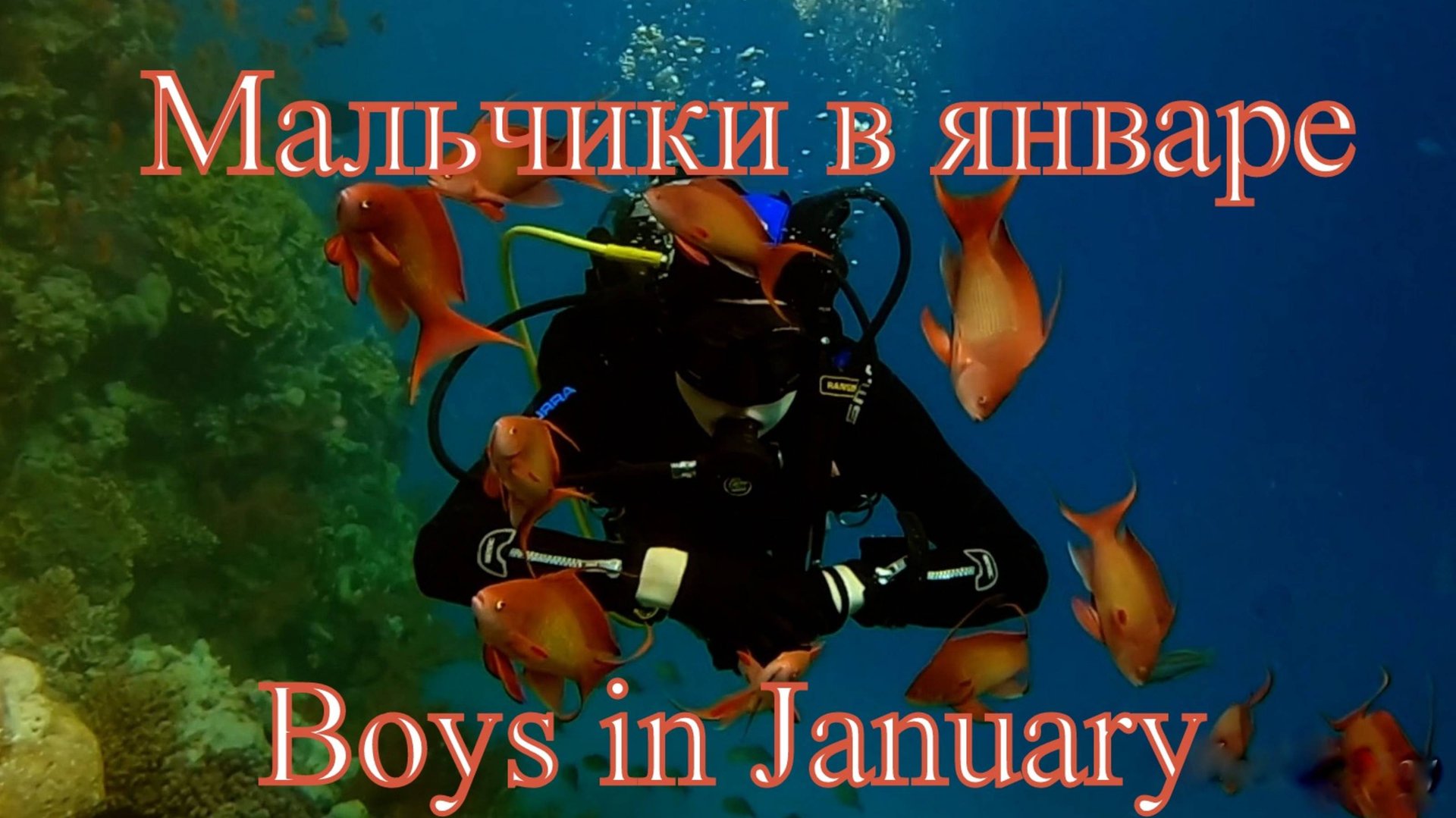 Мальчики в январе