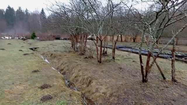 Первая вылазка на дачу в этом году. Снега нет. 30 января