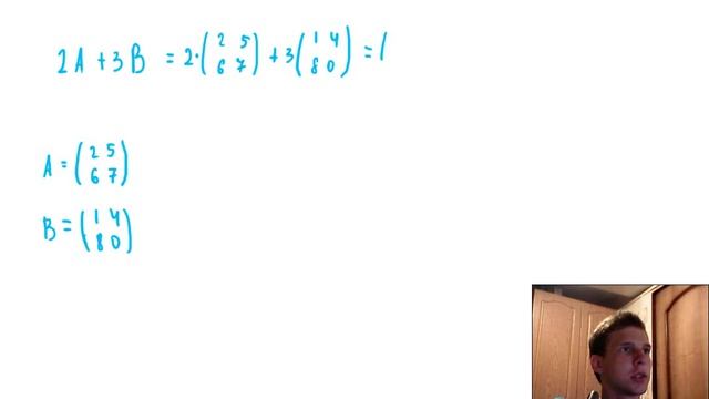 Матрица. Линейные комбинации заданных матриц. (Матричный шварц 3) матрицы математика