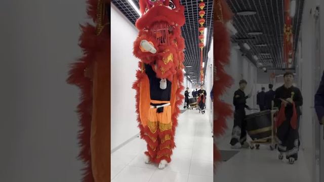 дракон в офисе