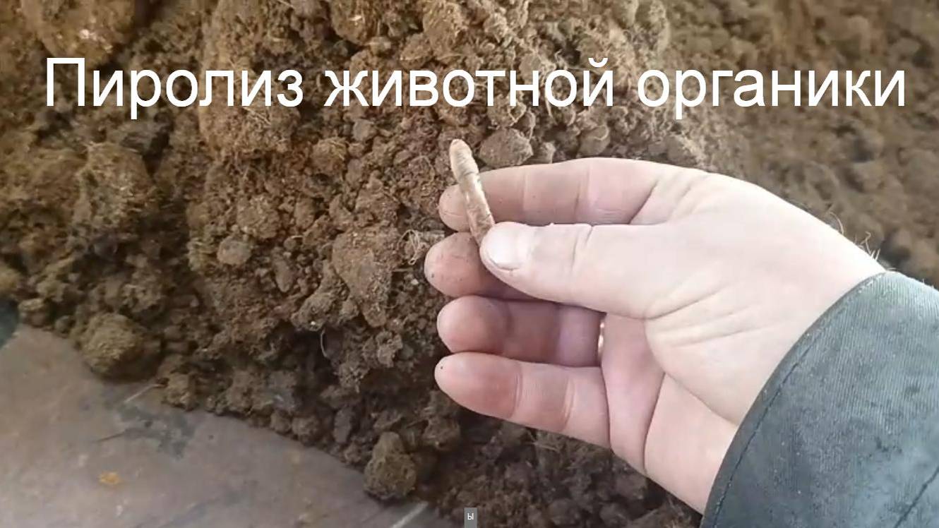 Пиролиз животной органики.
