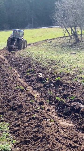 ПЛУГ ЛЕСНОЙ  ПКЛ  купить от завода ООО ПКФ  ВяткаАгроДизель   г Киров  211639agro@gmail.com