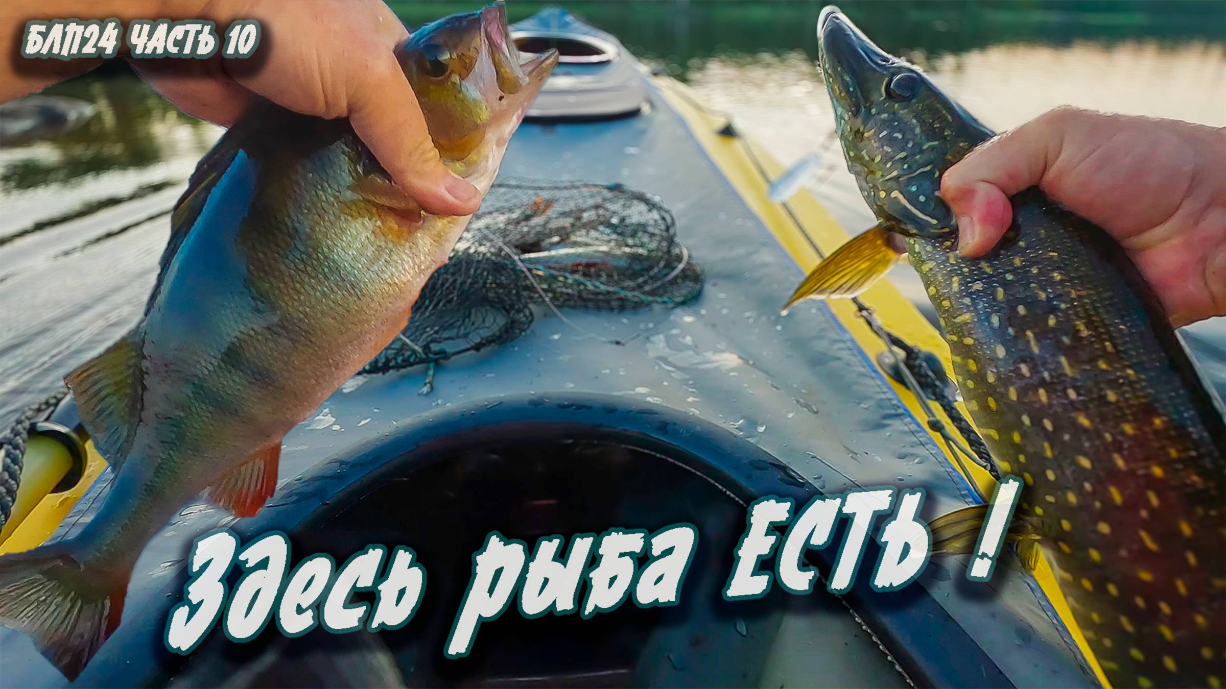 #10 Здесь рыба есть | Навстречу северным ветрам 2024